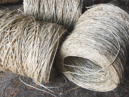 El Fique - Conoce esta fibra natural y su trabajo artesanal | Vivo Boreal