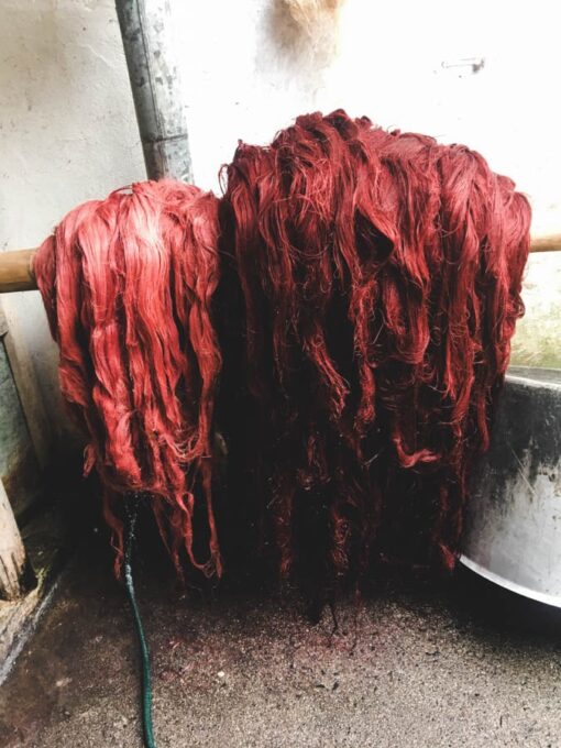 El Fique - Conoce esta fibra natural y su trabajo artesanal | Vivo Boreal