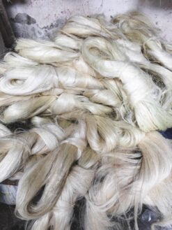 El Fique - Conoce esta fibra natural y su trabajo artesanal | Vivo Boreal